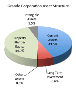 Balance Sheet Pie Graphs